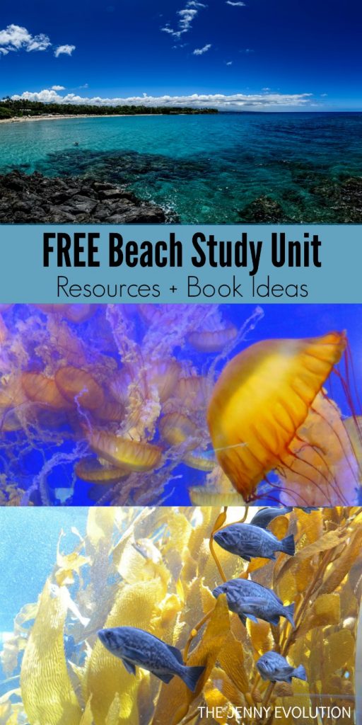 Ocean Books for Kids (Beach Unit Study) - Mommy Evolution