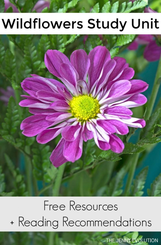 Inspiring Childrens Books about Flowers (Wildflower Unit Study)
