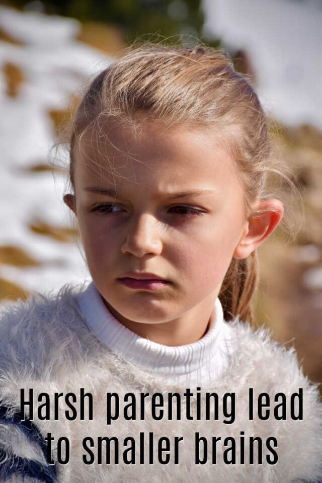 Harsh parenting leads to smaller brains, study says