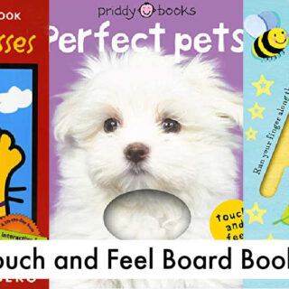 Delightful Board Books to Read with your Child - Mommy Evolution