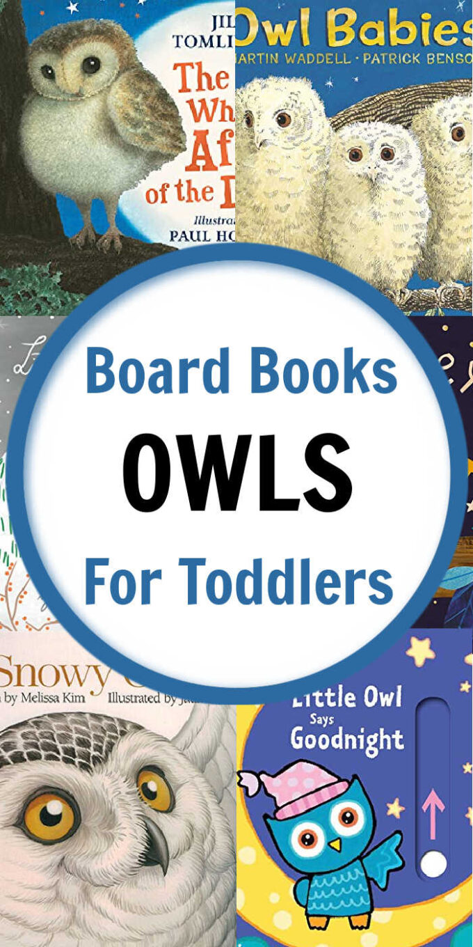 Owl Board Books for Toddlers - Mommy Evolution