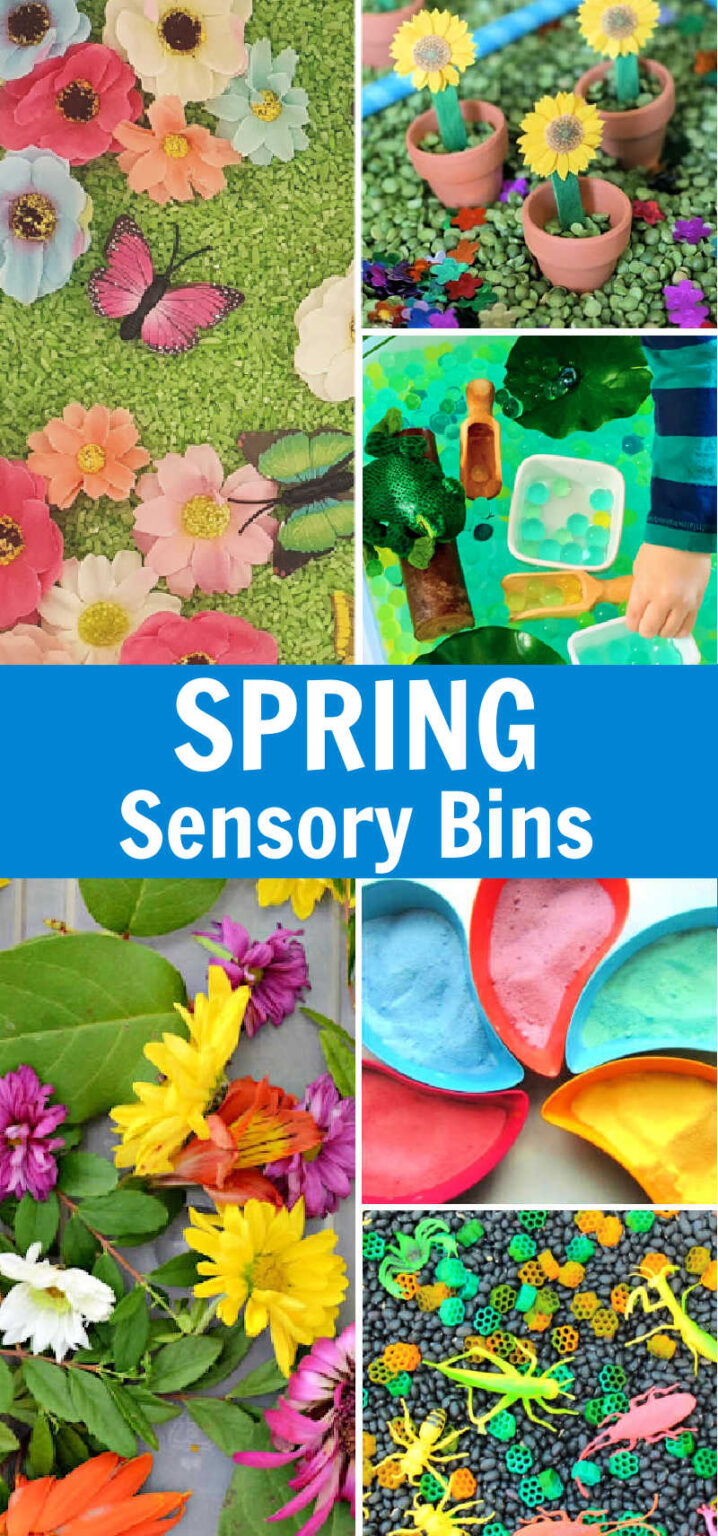 15 Spring Sensory Bins - Mommy Evolution