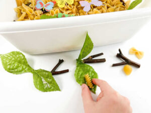 Butterfly Life Cycle Sensory Bin - Mommy Evolution
