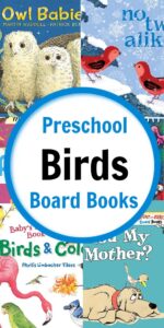 Children's Board Books about Birds - Mommy Evolution