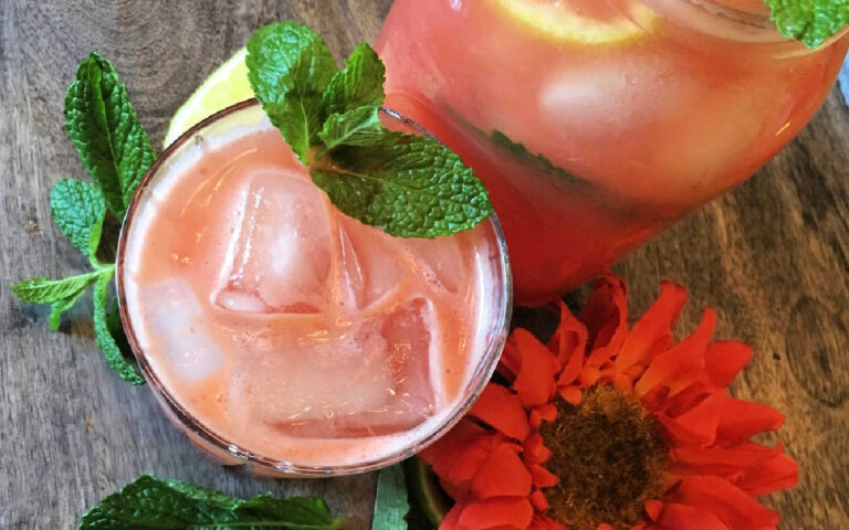 Watermelon Mint Lemonade - Mommy Evolution