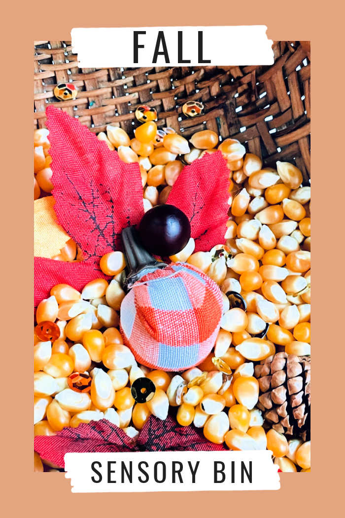 Fall Leaf Sensory Bin - Mommy Evolution