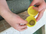 Fun Easter Egg Hunt - Pool Diving - Mommy Evolution