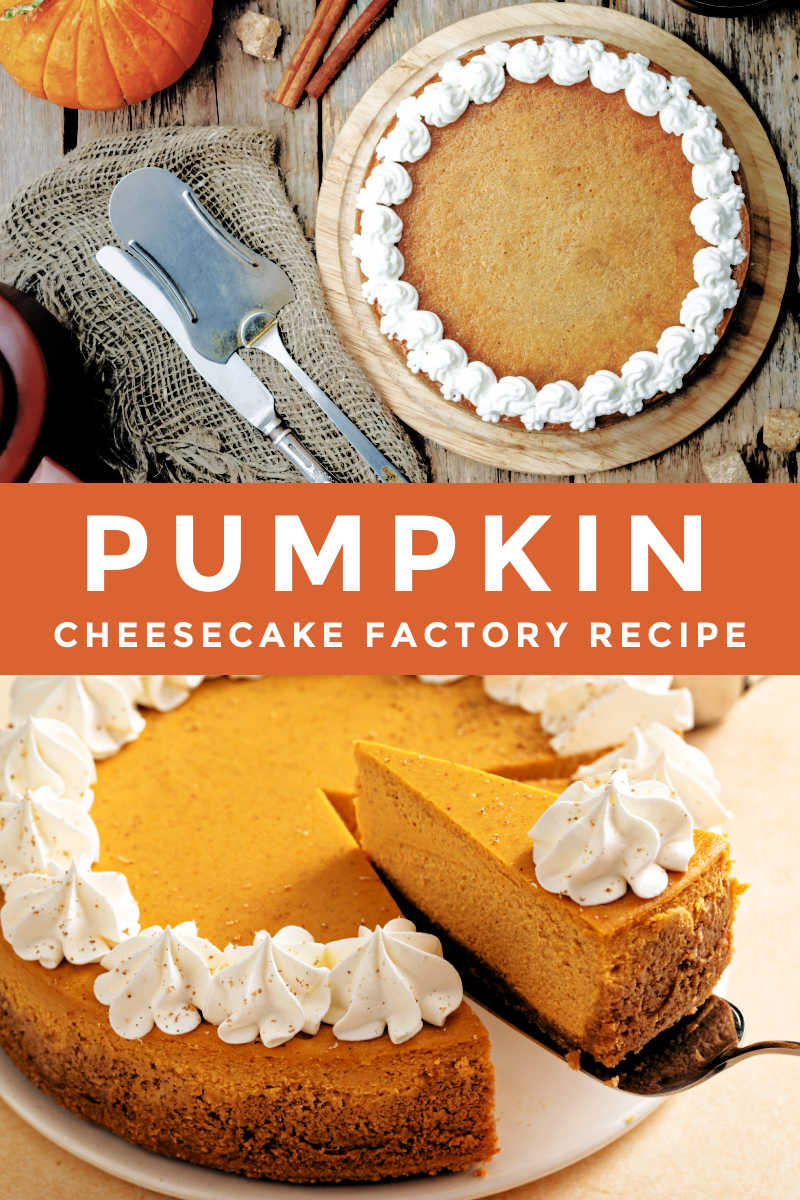 Cheesecake Factory Pumpkin Cheesecake Recipe Copycat