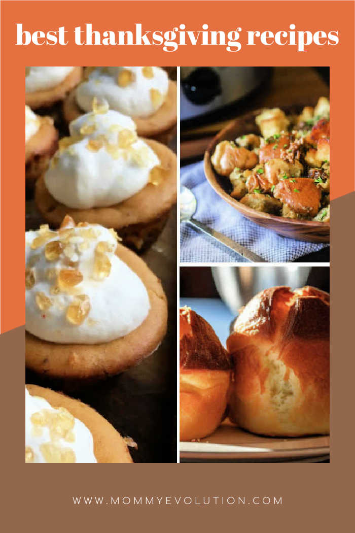 Must-Try Thanksgiving Recipes - Mommy Evolution