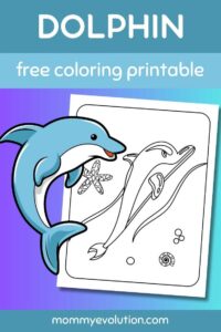 Free Dolphin Coloring Page for Ocean Fun - Mommy Evolution