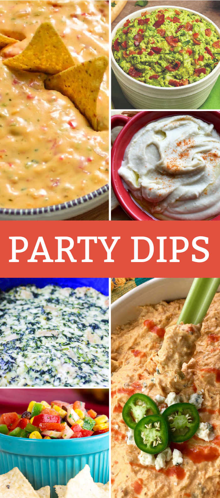 Must-Try Dip Recipes for Your Next Party - Mommy Evolution