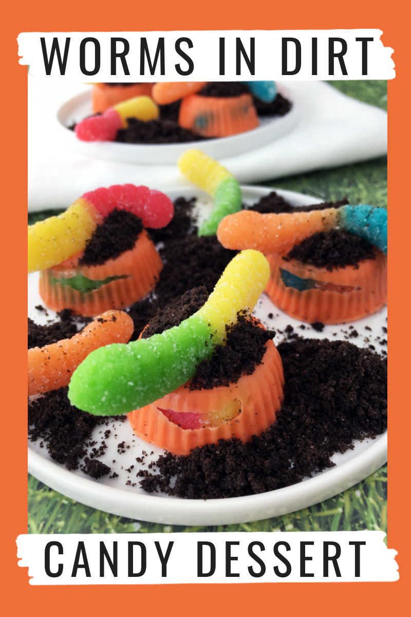 Worms in the Dirt Dessert Candy - Mommy Evolution