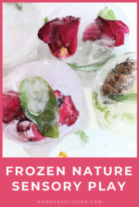 Frozen Nature Sensory Play - Mommy Evolution