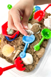 Beach Sensory Bin - Mommy Evolution